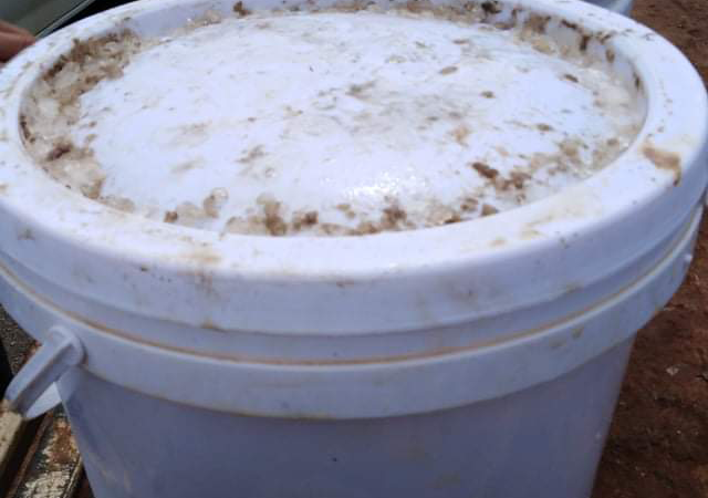 Bucket of Salted Beef - Kaniva Tonga News