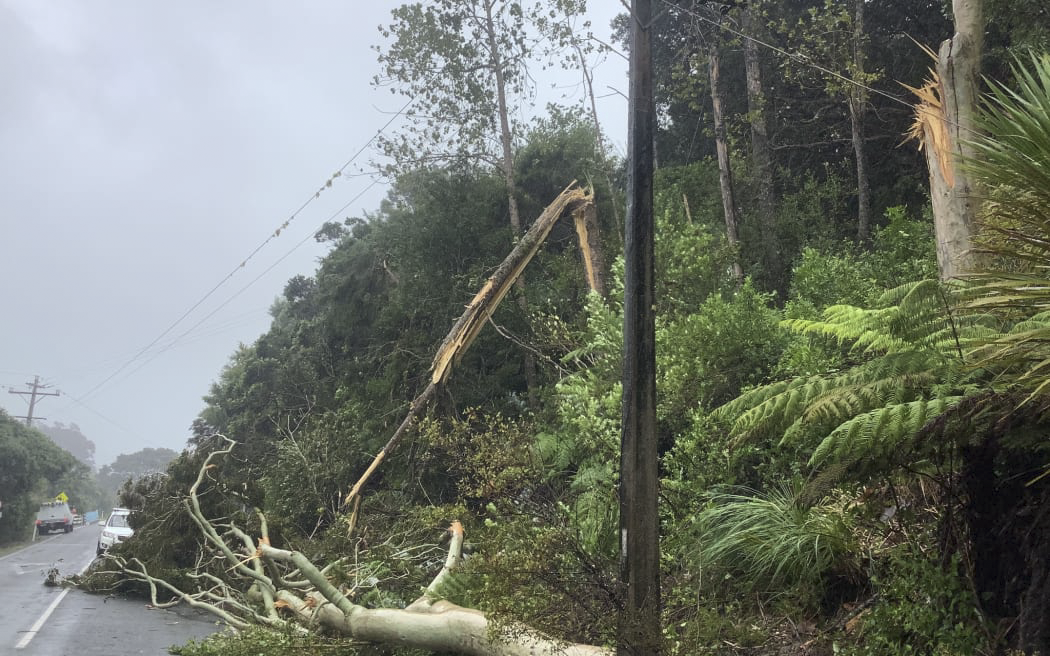 Cyclone Gabrielle in pictures: Flooding and trees downed across ...